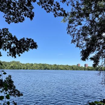 FRESH POND - Updated January 2026 - 66 Photos & 83 Reviews - 250 Fresh ...