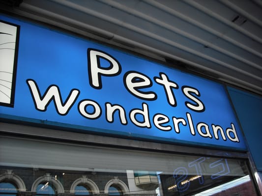 PETS WONDERLAND - Updated October 2025 - 182 Chapel St, Prahran ...
