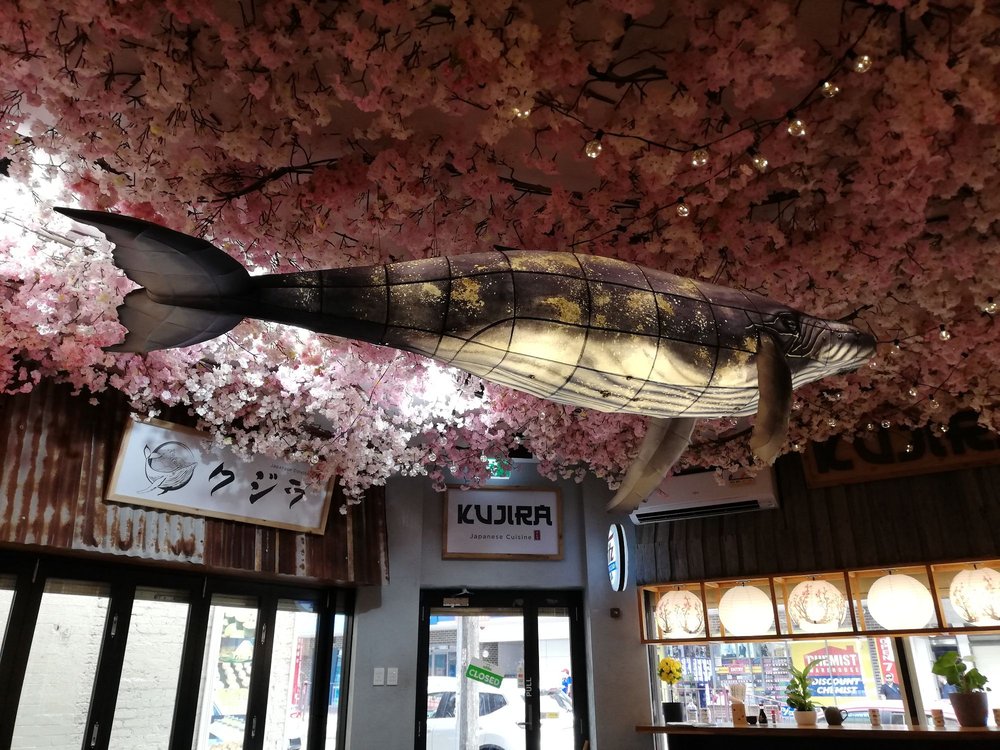 Kujira - Trusted Since 2020 - Updated July 2025 - 297 Liverpool Rd ...