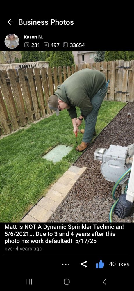 DYNAMIC LAWN & LANDSCAPE - Updated December 2025 - 20 Photos & 14 ...