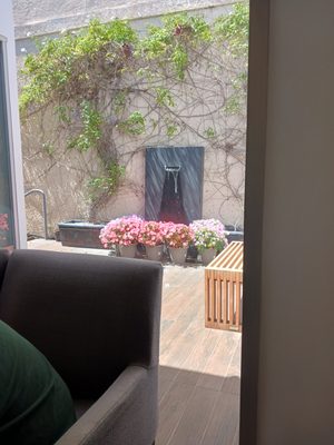 ROOTVISION ENDO - Updated January 2026 - 54 Photos & 212 Reviews - 3663 ...