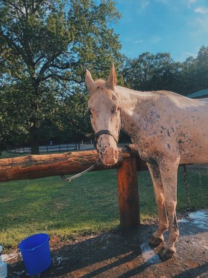 RED BUFFALO RANCH - Updated December 2025 - 69 Photos & 62 Reviews ...