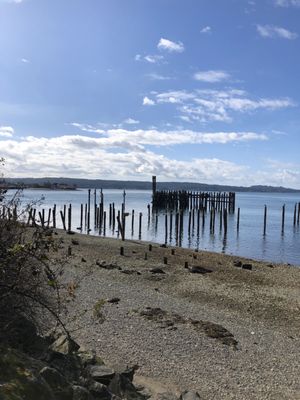 Titlow Beach and Park - 102 Photos & 29 Reviews - Parks - 8425 6th Ave ...