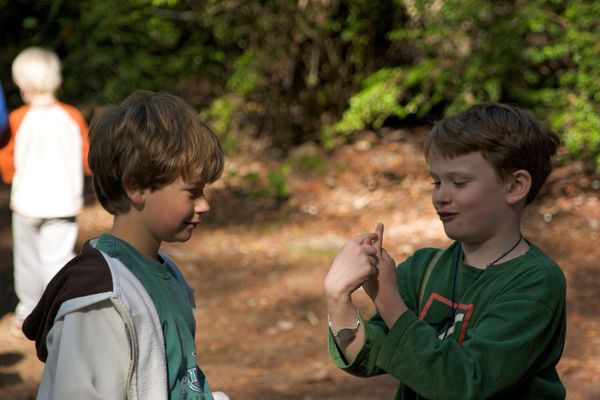 YMCA CAMP SEYMOUR - Updated February 2025 - 159 Photos - 9725 Cramer Rd ...