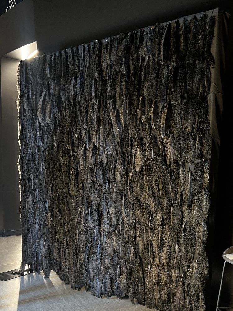 AUSTIN BACKDROPS - Updated May 2025 - Austin, Texas - Party Equipment ...