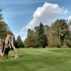 NORTH BELLINGHAM GOLF COURSE - Updated June 2025 - 29 Photos & 17 ...