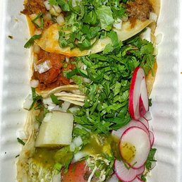 EL TACO RIENDO - Updated December 2025 - 302 Photos & 511 Reviews ...