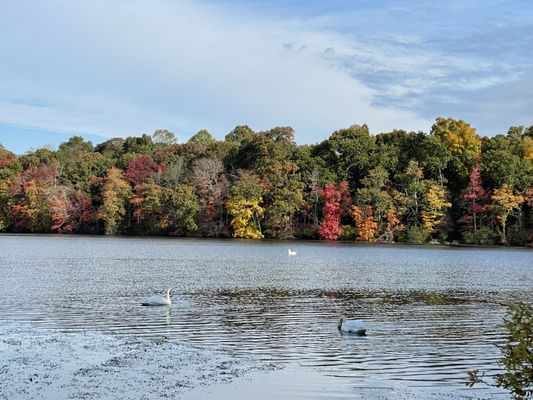 BLYDENBURGH PARK - Updated December 2025 - 197 Photos & 70 Reviews ...