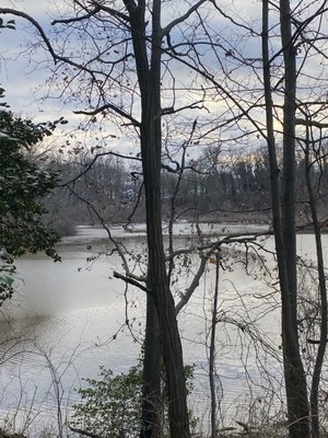 WALLWORTH POND - Updated January 2026 - 96 Evans Mill Rd, Haddonfield ...