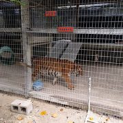 OCTAGON WILDLIFE SANCTUARY - 116 Photos & 34 Reviews - 41660 Horseshoe ...