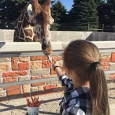 GOEBBERT’S FARM - Updated March 2025 - 331 Photos & 184 Reviews ...