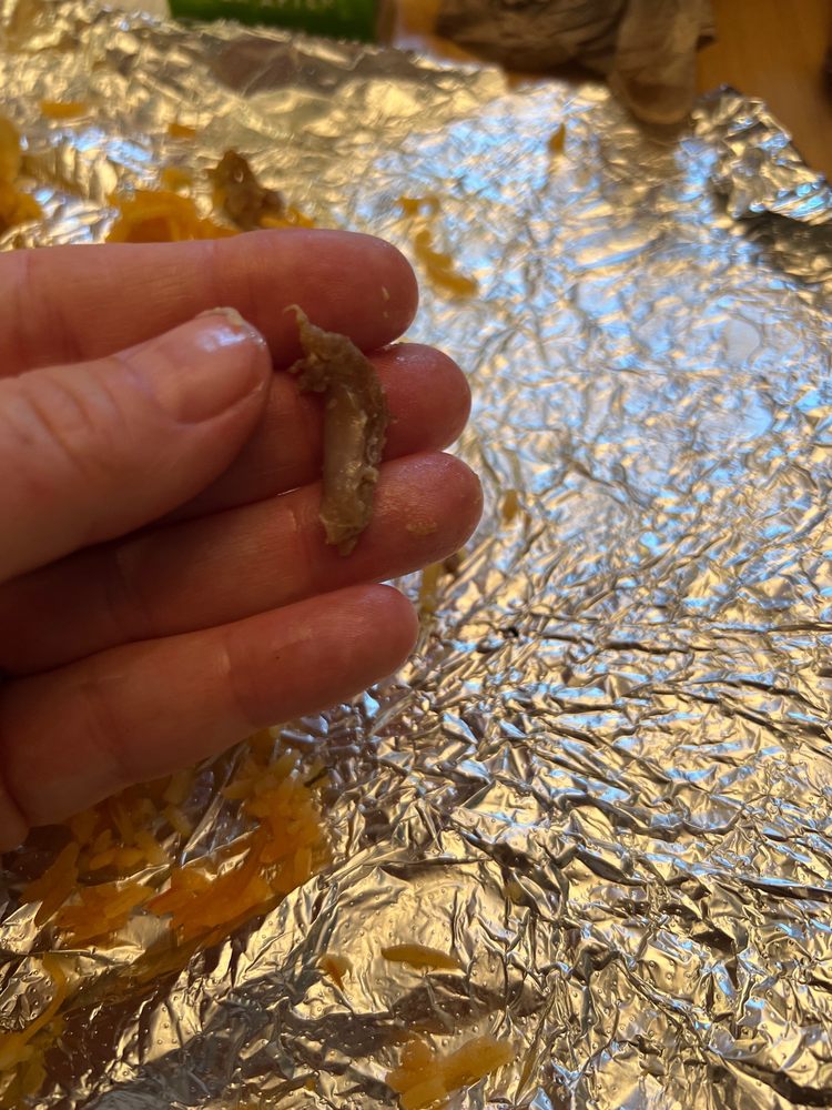 TACO-TASTIC - Updated July 2025 - 220 Photos & 154 Reviews - 793 ...