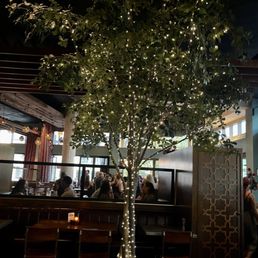 GYPSY KITCHEN - Updated February 2025 - 1547 Photos & 1074 Reviews ...