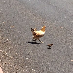 LEIDOS QTC HEALTH SERVICES - Updated August 2025 - 11 Reviews - 2226 ...