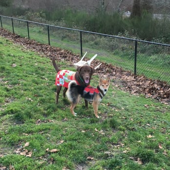 SILVERDALE DOG PARK - Updated November 2025 - 29 Photos & 21 Reviews ...