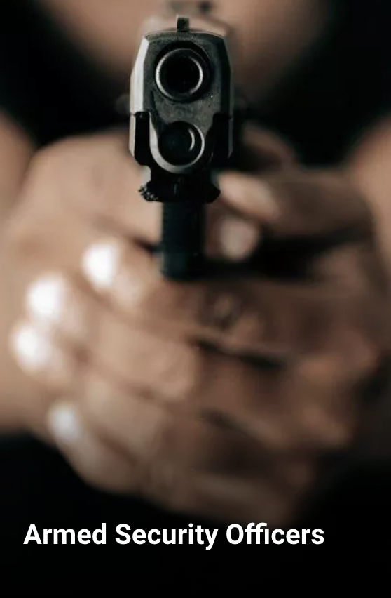 AAA SECURITY GUARD SERVICES - Updated June 2024 - Request a Quote - 18 ...