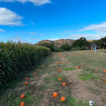 DR DAVIES FARM STAND - Updated August 2025 - 141 Photos & 118 Reviews ...