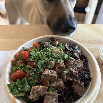 BOLAY FRESH BOLD KITCHEN - Updated October 2025 - 331 Photos & 320 ...