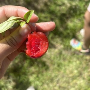 ENO RIVER FARM - Updated August 2025 - 114 Photos & 50 Reviews - 2127 ...