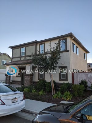 ABSOLUTE PROPERTY MANAGEMENT - Updated September 2025 - 18 Photos ...