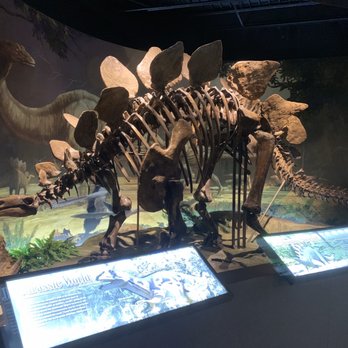 ANNISTON MUSEUM OF NATURAL HISTORY - Updated October 2025 - 59 Photos ...