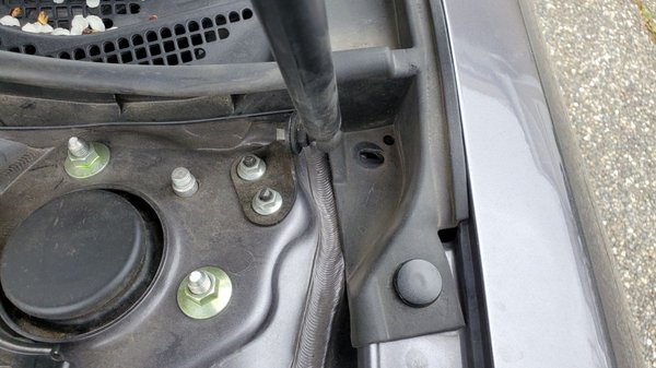 ALL-STAR AUTO GLASS - Updated January 2026 - 74 Photos & 302 Verified ...