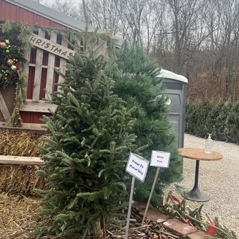MEERT TREE FARM - Updated December 2025 - 19 Photos - 14560 Dry Fork Rd ...