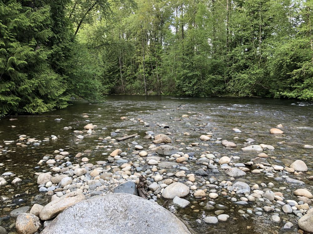 COQUITLAM RIVER PARK - Updated May 2025 - 1190 Shaughnessy Street ...