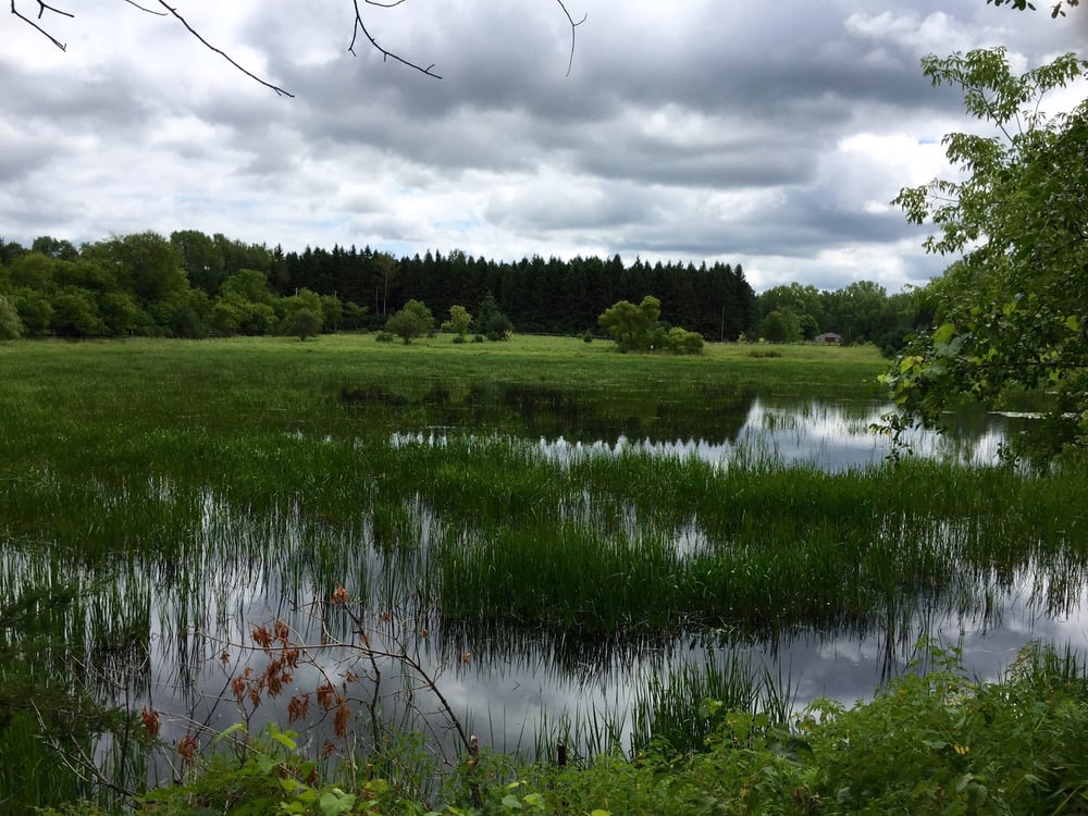 GATEWAY STATE TRAIL - Updated December 2025 - 10 Photos - E Cayuga St ...