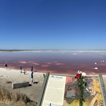 ALVISO MARINA COUNTY PARK - Updated August 2025 - 1718 Photos & 223 ...