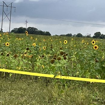 STUCKEY FARM ORCHARD AND CIDER MILL - Updated December 2025 - 195 ...