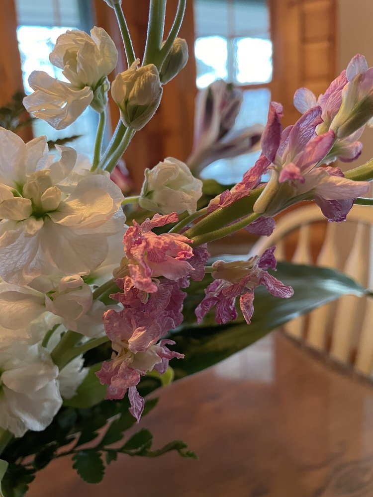 DAISY’S HOUSE OF FLOWERS - Updated November 2025 - 24 Photos - 16 N ...