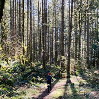 DUTHIE HILL MOUNTAIN BIKE PARK - Updated January 2026 - 26 Photos & 37 ...