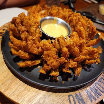 OUTBACK STEAKHOUSE - Updated December 2025 - 238 Photos & 325 Reviews ...