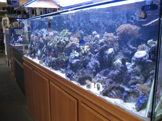 STRICTLY FISH - 100 Photos & 233 Reviews - 6903 Carson St, Lakewood ...