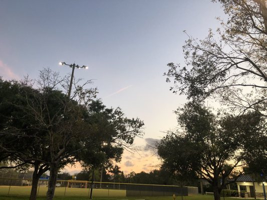 FLAMINGO PARK - 39 Photos - 12855 NW 8th St, sunrise, FL - Yelp