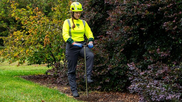 BARTLETT TREE EXPERTS - Updated December 2025 - 65 Photos & 18 Reviews ...