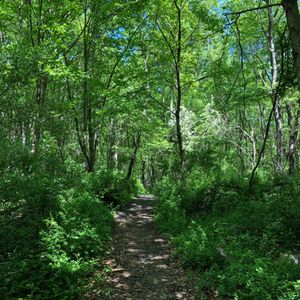 DANSBURY PARK SWIMMING POOL - Updated December 2025 - 226 Washington St ...