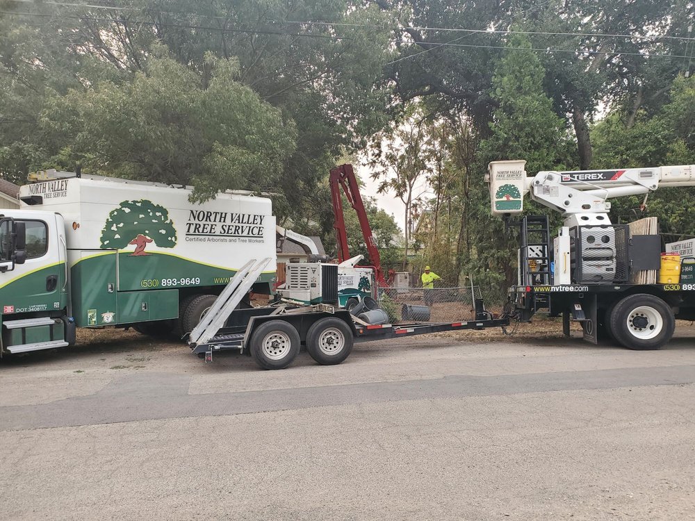 NORTH VALLEY TREE SERVICE - Updated June 2025 - 37 Photos & 37 Reviews ...