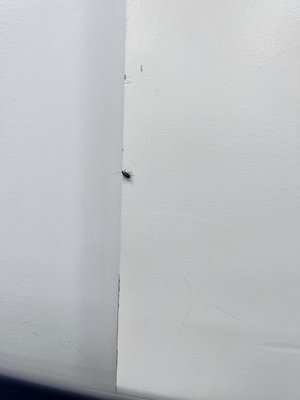 ANAHEIM CENTRAL LIBRARY - Updated December 2025 - 60 Photos & 68 ...