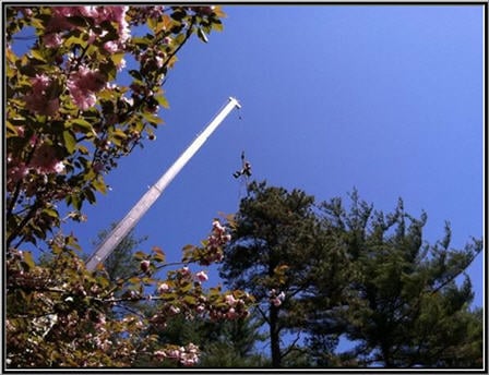 TREE WORKS UNLIMITED - Updated December 2025 - 18 Photos - 4480 S ...