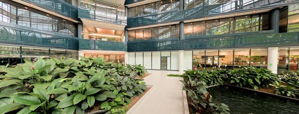 ELAVON - Updated December 2025 - 87 Reviews - 2 Concourse Pkwy NE ...