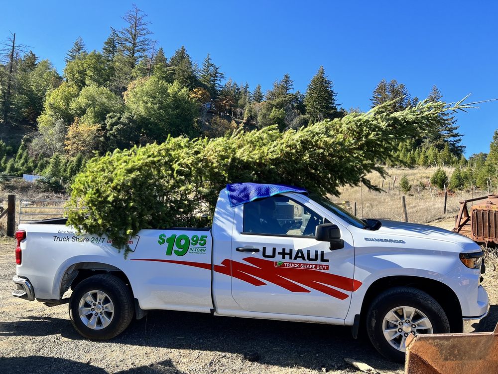 LONE STAR TREE FARM - Updated November 2025 - 38 Photos & 28 Reviews ...