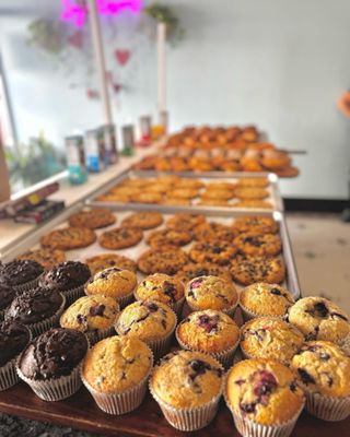 SUGAR BLOSSOMS FL - Updated January 2026 - 203 Photos - 110 N Ridgewood ...