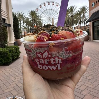 EARTH BOWL SUPERFOODS - Updated June 2024 - 71 Photos & 42 Reviews ...