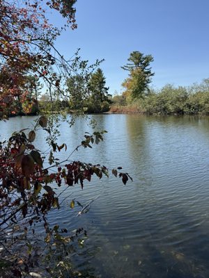 CHASE FARM - Updated January 2026 - 67 Photos & 57 Reviews - 667 Great ...