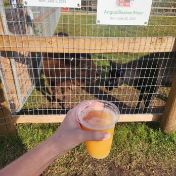 CRAZY DINGO BREWING - Updated October 2025 - 128 Photos & 59 Reviews ...