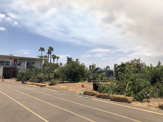 ALICE BIRNEY ELEMENTARY SCHOOL - Updated December 2025 - 26 Photos ...