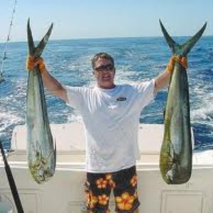 ANDREU, PALMA, LAVIN & SOLIS - Updated January 2025 - 13 Photos - 815 ...