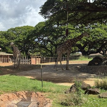 HONOLULU ZOO - Updated January 2025 - 5191 Photos & 965 Reviews - 151 ...